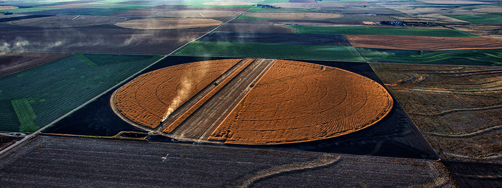 A golden circle, this one near Edson, Kansas, is the tell-tale sign of ...