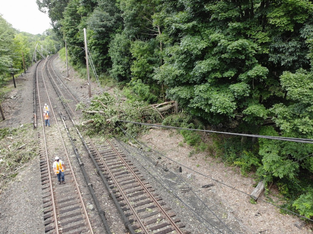 Ecosystems Are Dying as Long Island Contends With a Nitrogen Bomb ...