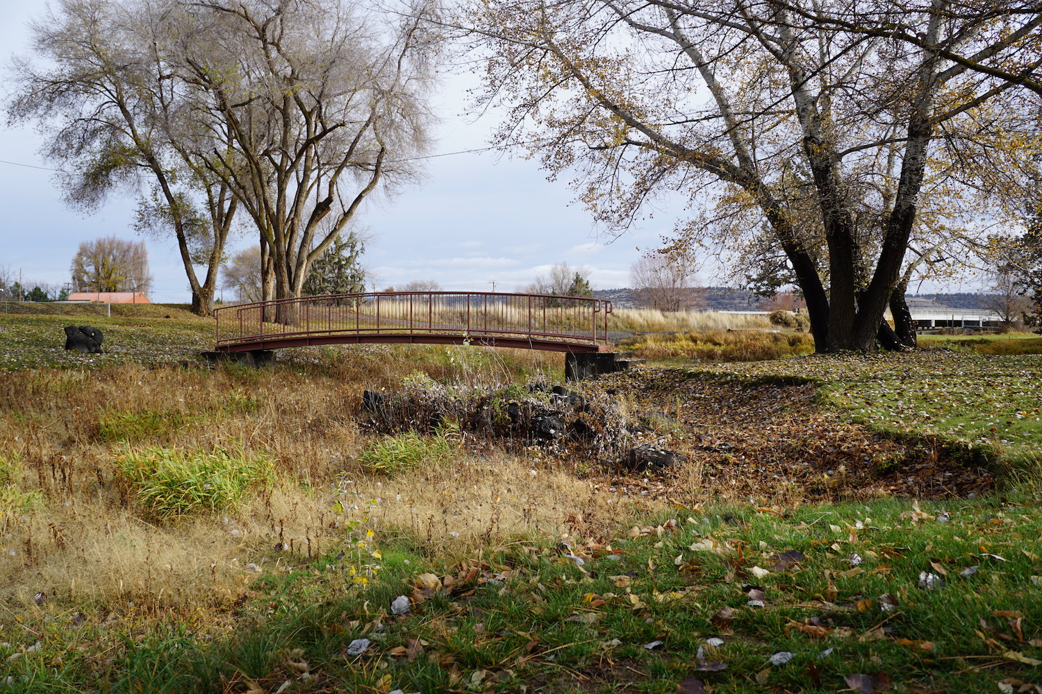 bonanza-spring-dry-klamath-november-2021 - Circle of Blue