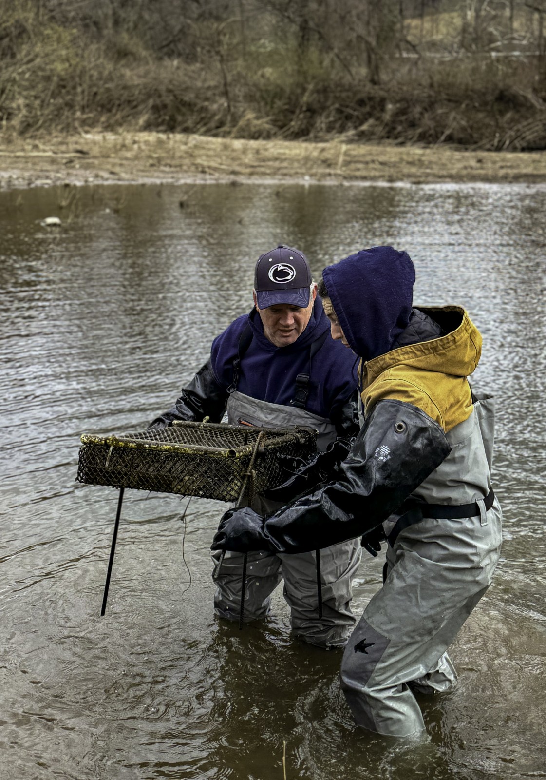 Lance Butler And Shannon Boyle Deploying Caged Mussels In The ...