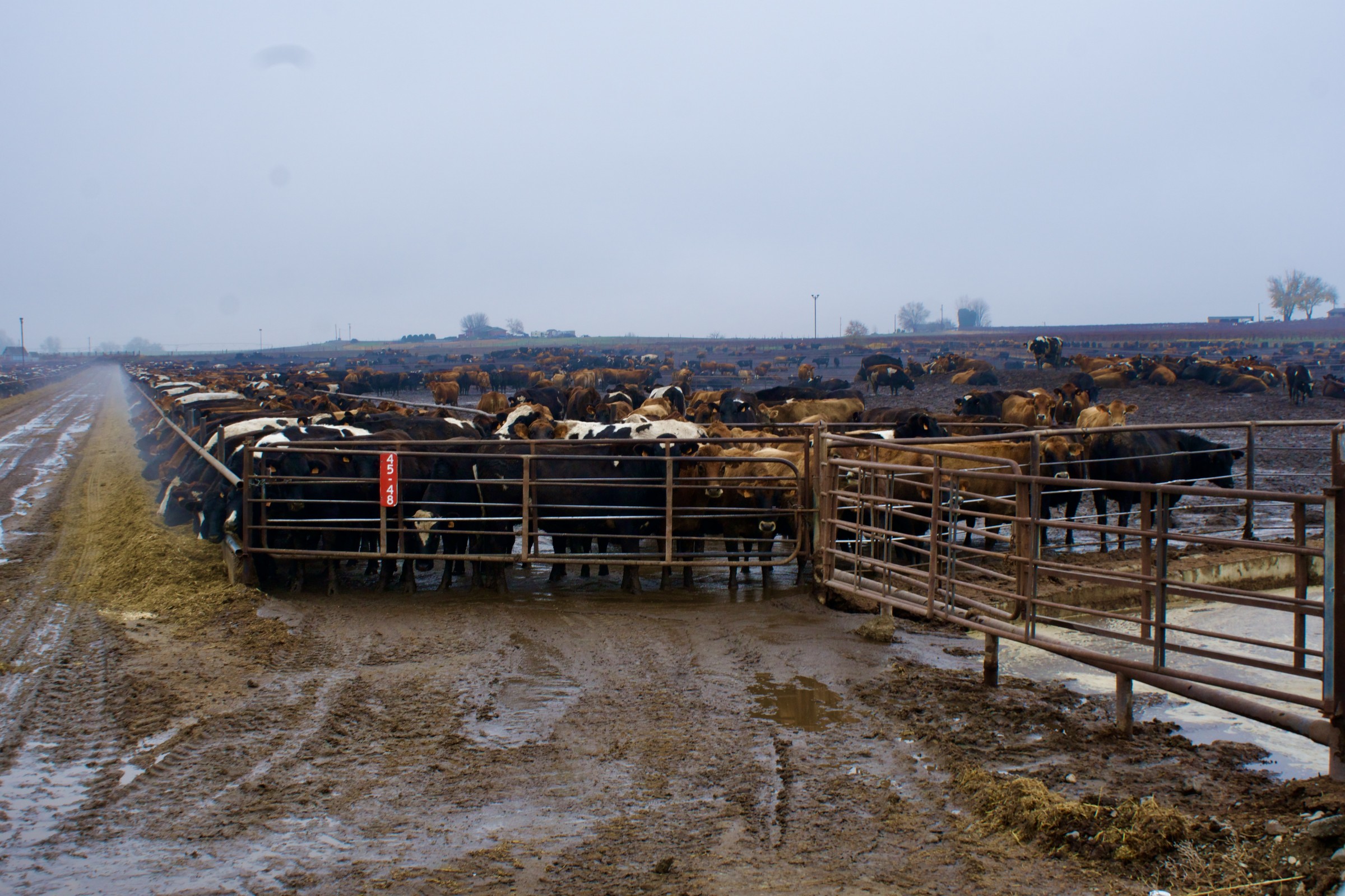 DSC01701 - Circle of Blue