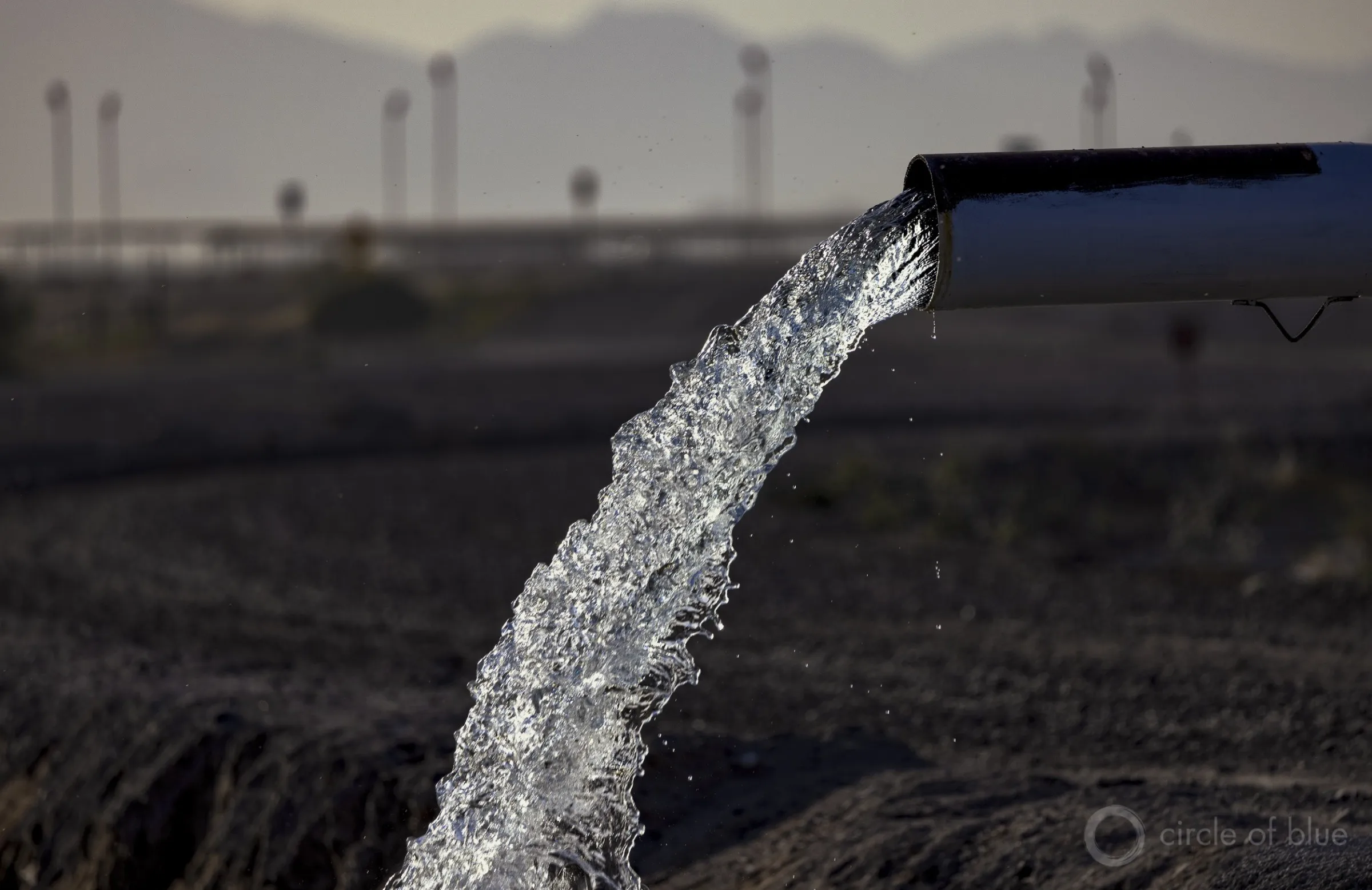 The Stream, July 31, 2025: Global Study Reveals ‘Unprecedented’ Loss of ...