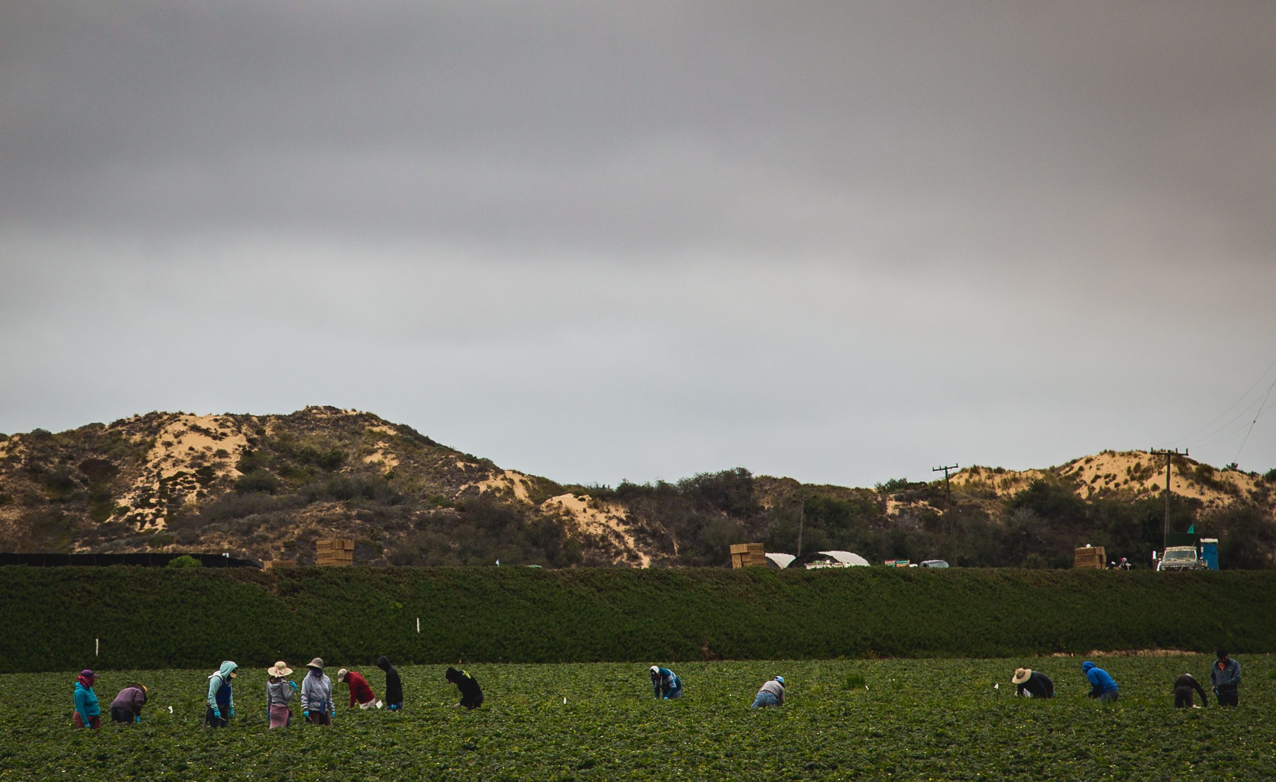 ICE Raids in California Block Farmworker Access to Clean Water - Circle ...