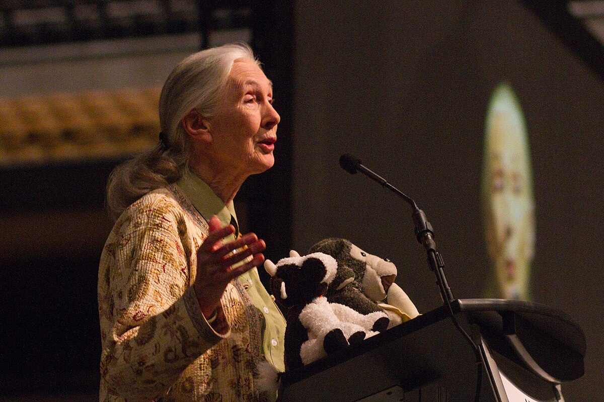 Jane Goodall’s Legacy Included Protecting Clean Water - Circle of Blue